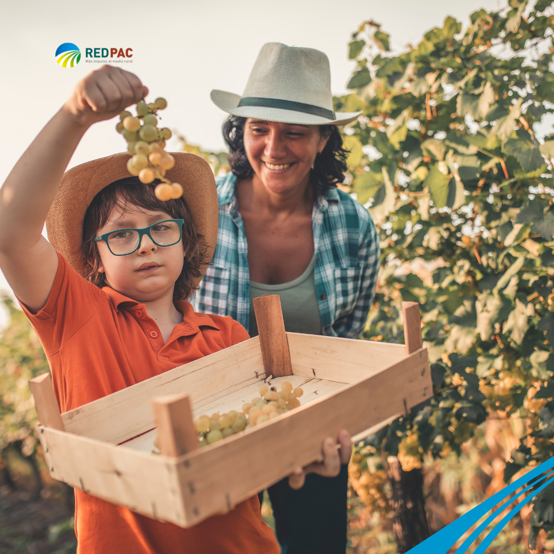 JUNIO 2023 | Red PAC